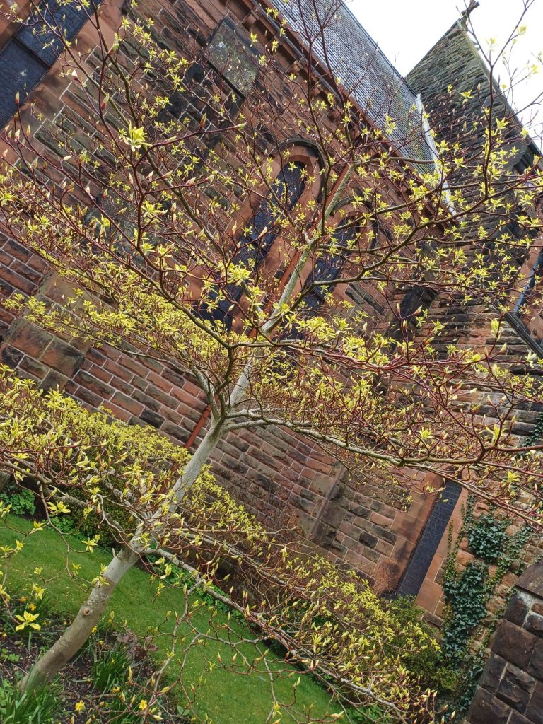 Easter 2024 Mini-pilgrimage – Quartz