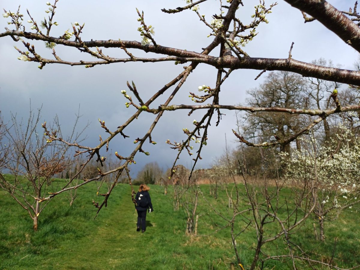 Easter 2024 Mini-pilgrimage – Quartz